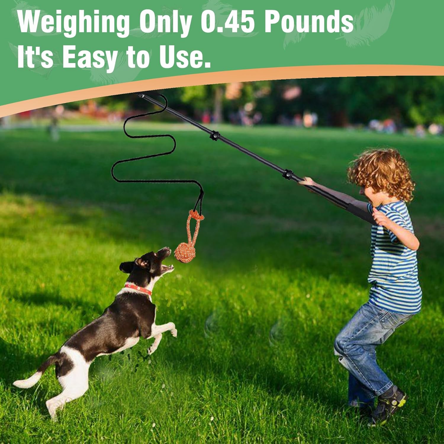 Dog flirt pole - Telescopic Extension Pole Manufacturer