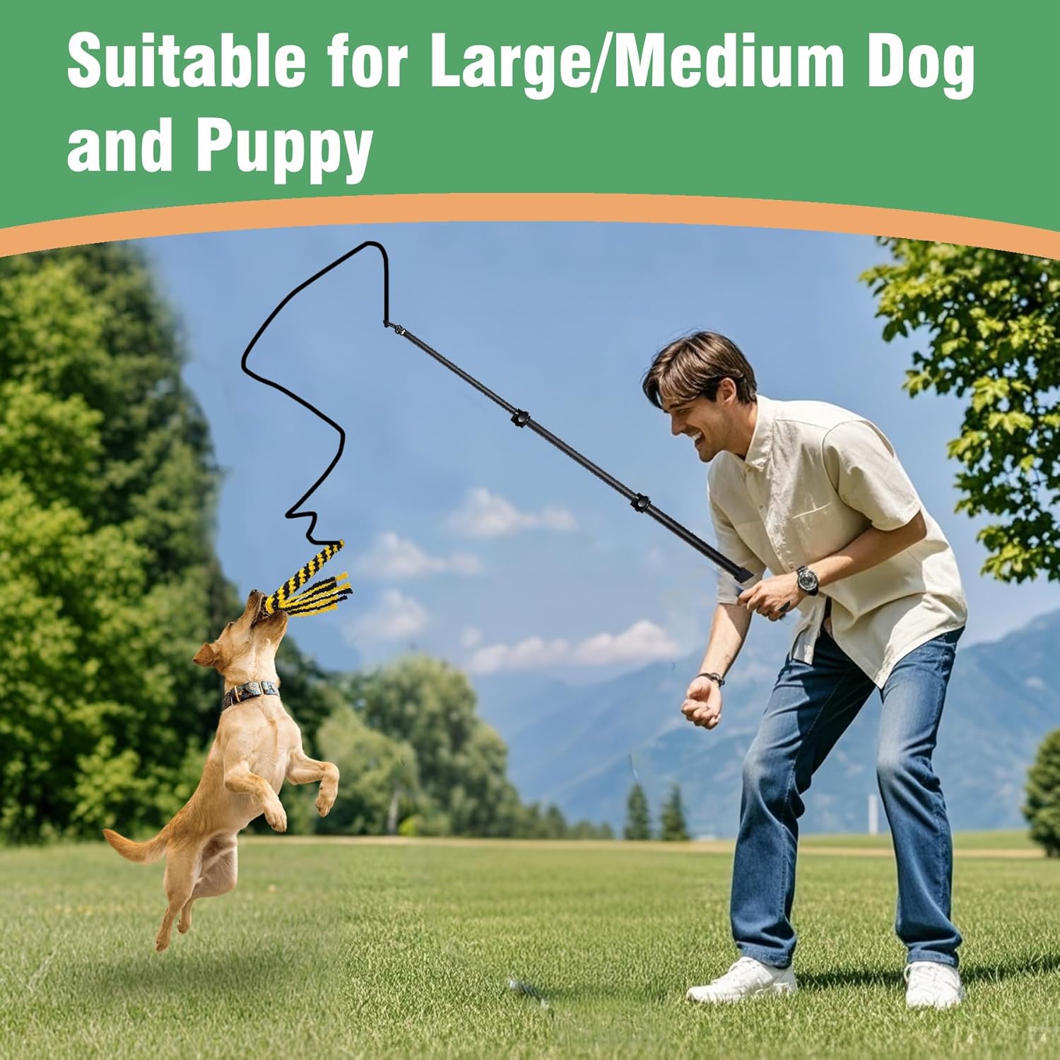 Dog flirt pole - Telescopic Extension Pole Manufacturer